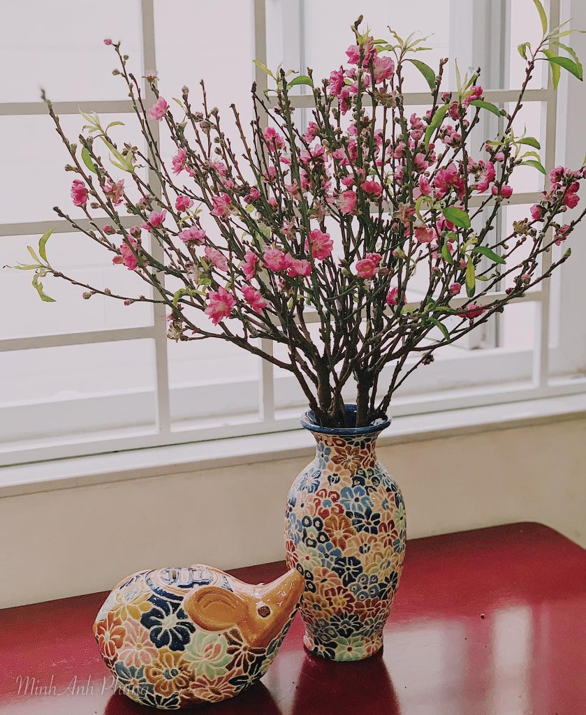 "Mãn Nhãn" Những Cành Đào Đẹp Nhất Tết Giáp Thìn 2024