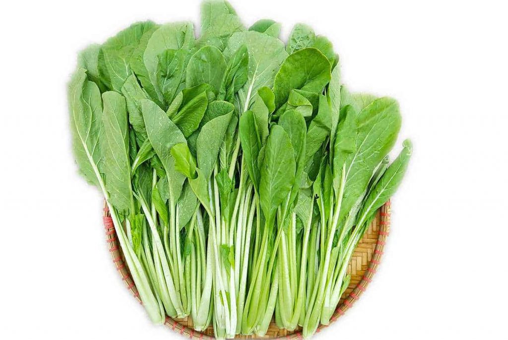 Phân Biệt 15 Loại Rau Cải Phổ Biến cho cô nàng "vụng về"