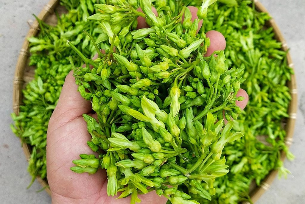 Hoa Thiên Lý Xào Thịt Bò Mềm Ngon Dễ Ăn Ngày Hè