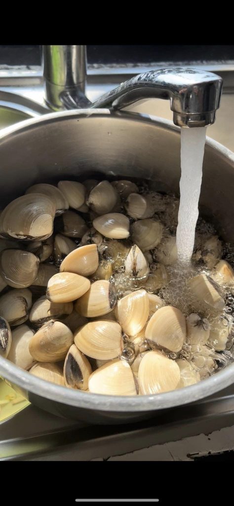 Cách Nấu Canh Ngao Mồng Tơi Xanh Mát, Ngọt Thanh
